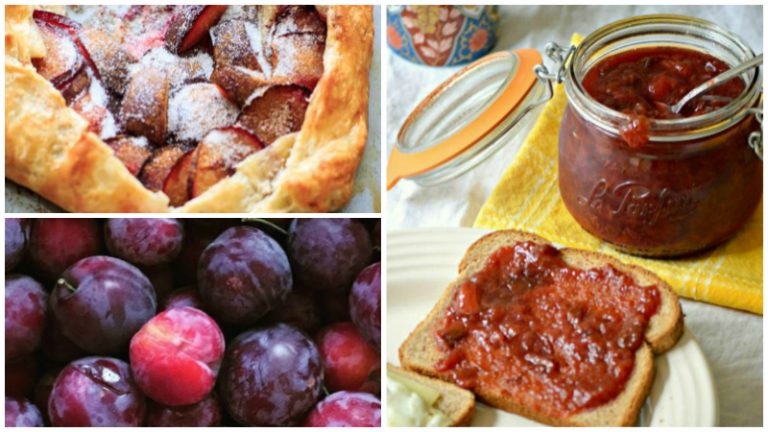 10 Fresh, Seasonal Plum Recipes - Mama Likes To Cook