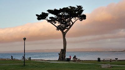 Lovers Point Beach House - Pacific Grove, California Ocean View Dining