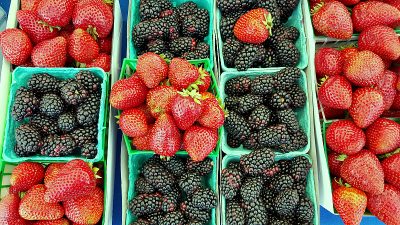 Marina Del Rey Farmers Market Saturdays - Mama Likes To Cook