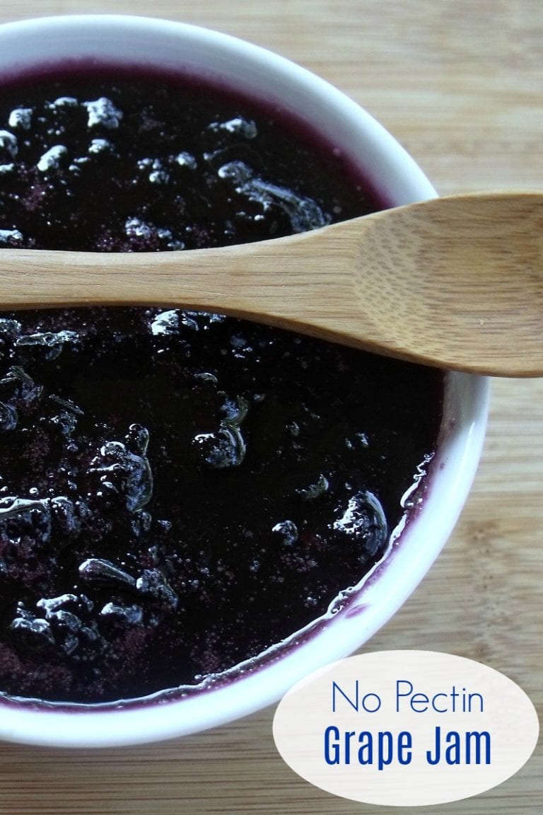 Easy Grape Jam Recipe with Only 2 Ingredients - Mama Likes To Cook