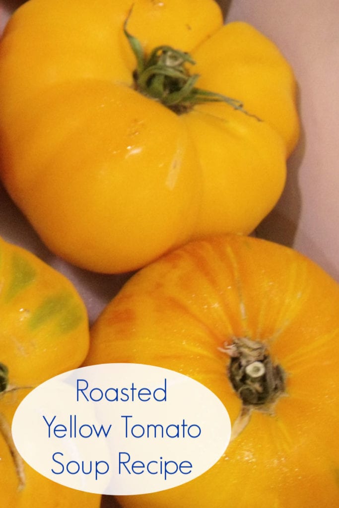 Vegan Roasted Yellow Tomato Soup Recipe - Mama Likes To Cook