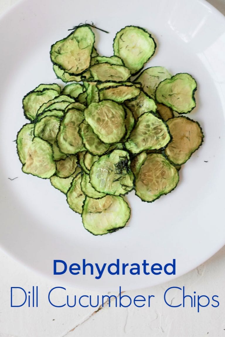 Dill Cucumber Chips in the Oven or Dehydrator - Mama Likes To Cook