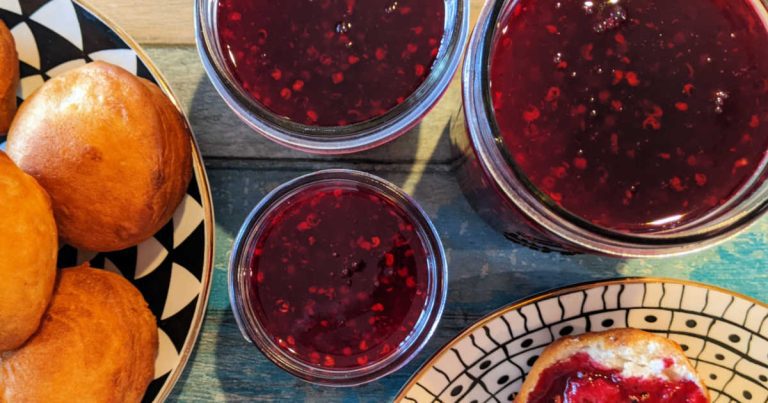Prickly Pear Jam Recipe (No Pectin!) - Mama Likes To Cook