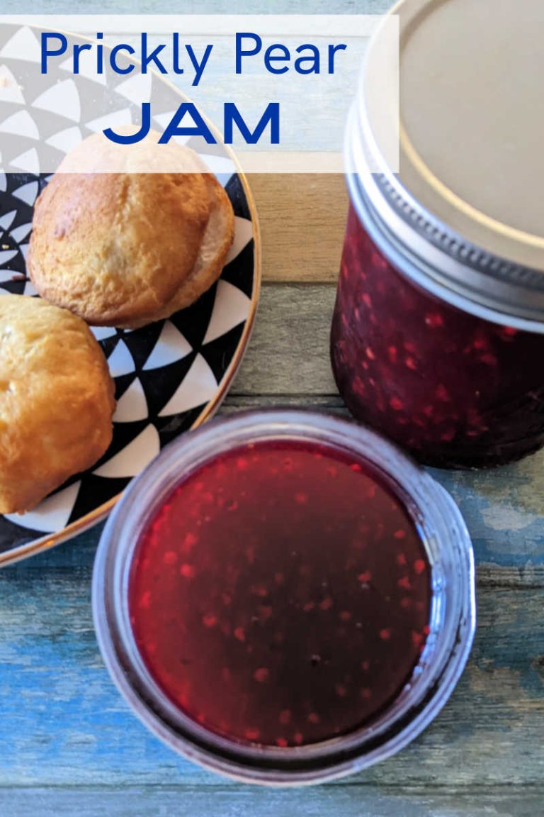 Prickly Pear Jam Recipe (No Pectin!) - Mama Likes To Cook