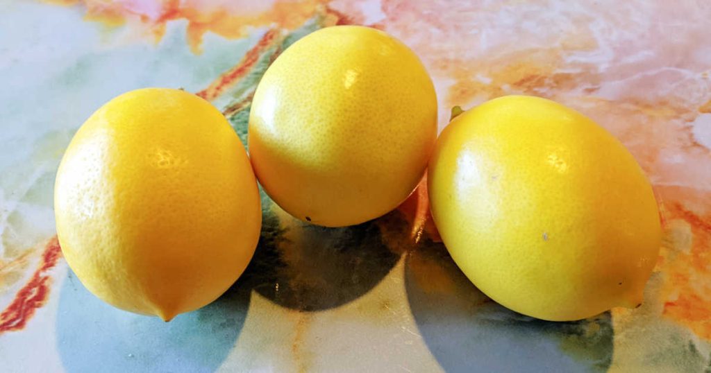 Meyer Lemon Chocolate Chip Cookies Recipe - Mama Likes To Cook