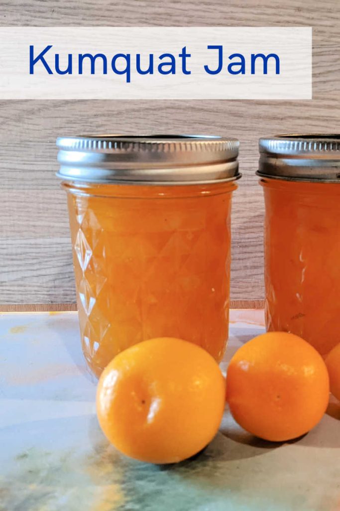 Sunshine in a Jar: Easy Kumquat Jam Recipe with No Pectin - Mama Likes ...
