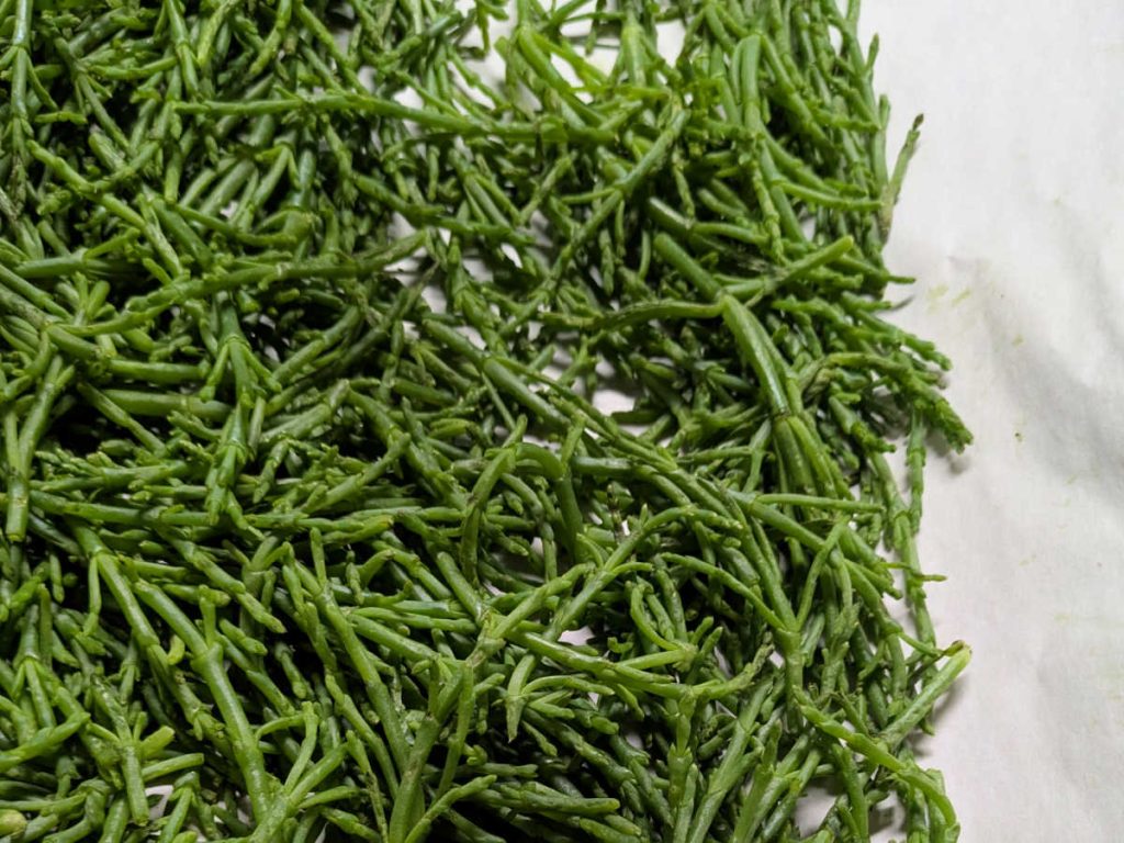Sea Beans: Salty, Crunchy, and Fun! - Mama Likes To Cook